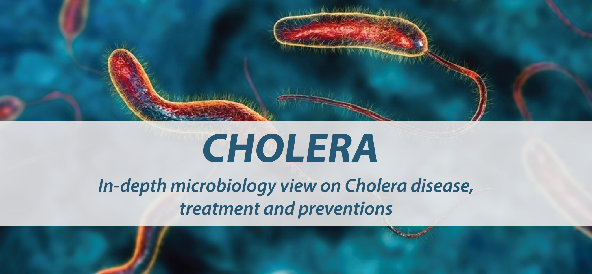 Cholera Uncovered – Everything you need to know about Cholera